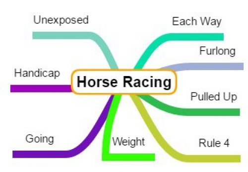 Horse Racing Terminology Explained