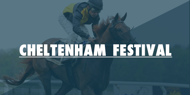 The 2021 Cheltenham Festival » Which Bookie